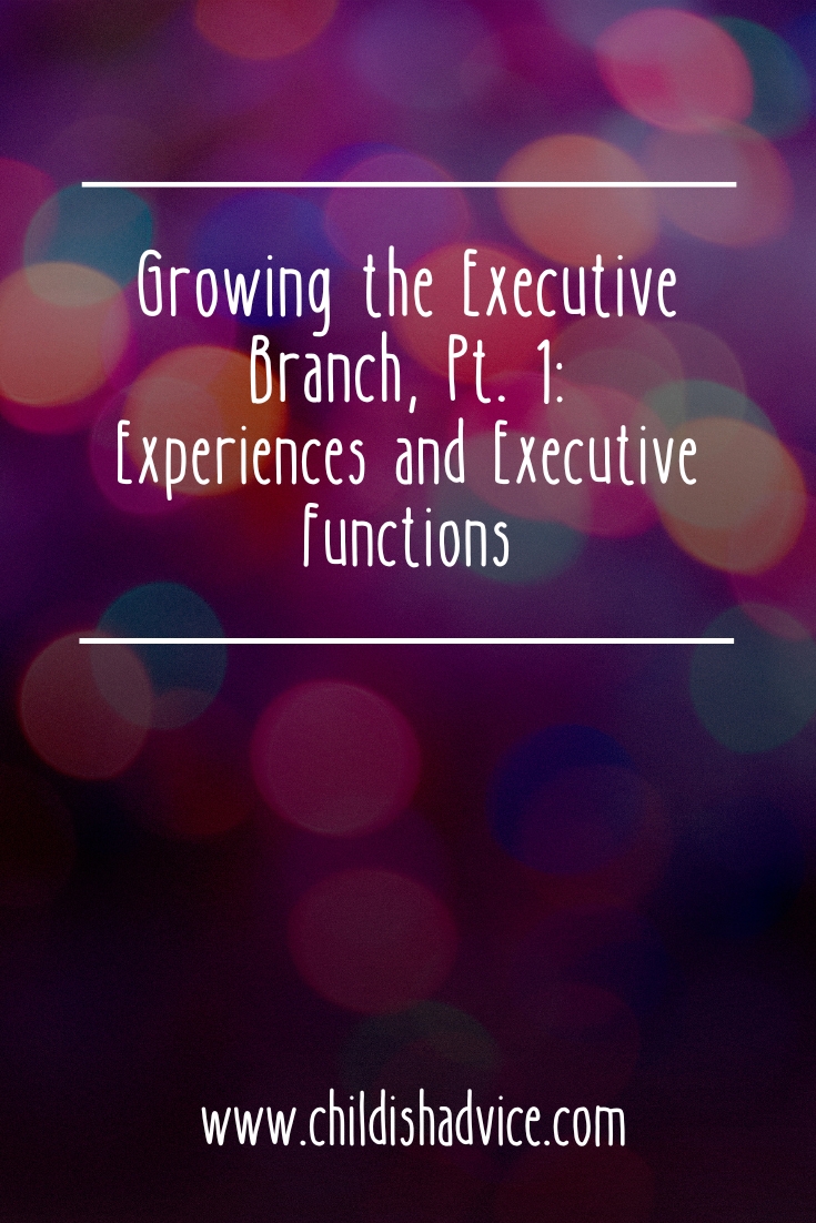 Growing the Executive Branch, Pt. 1: Experiences and Executive ...