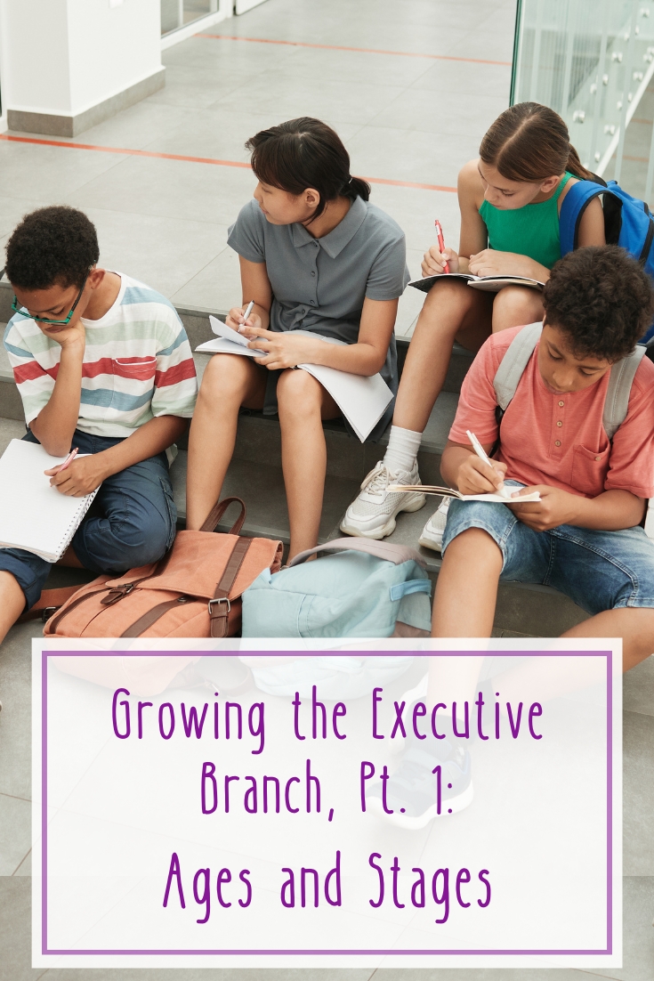 Growing the Executive Branch, pt. 2: Ages and Stages of Executive ...