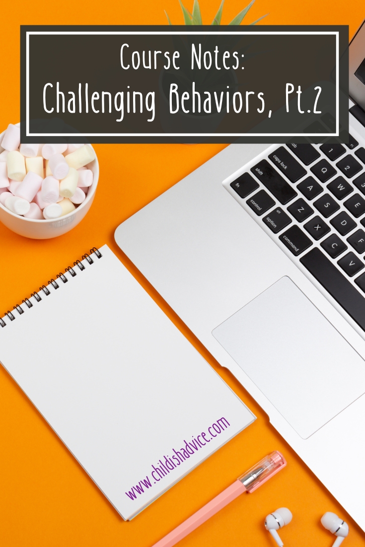 Course Notes: Challenging Behaviors, pt. 2 – Child(ish) Advice