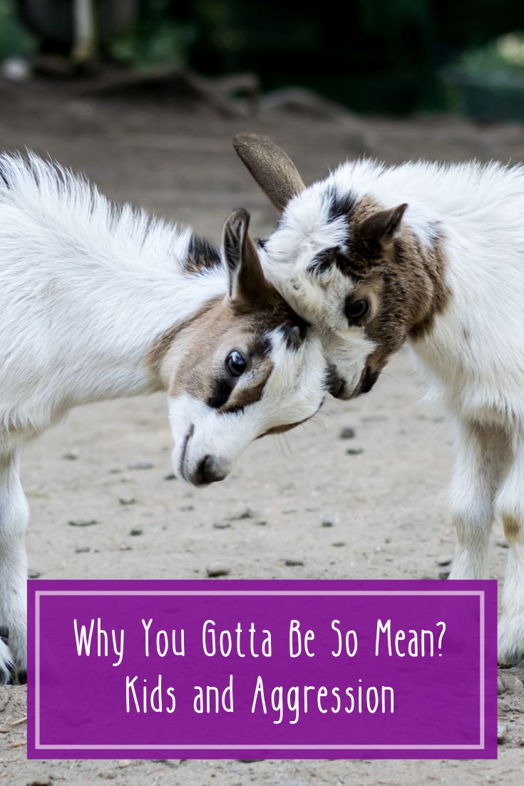 Why You Gotta Be So Mean?: Kids and Aggression – Child(ish) Advice