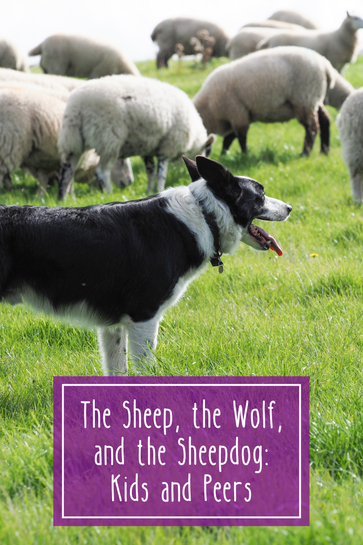 The Sheep, the Wolf, and the Sheepdog: Kids and Peers – Child(ish) Advice