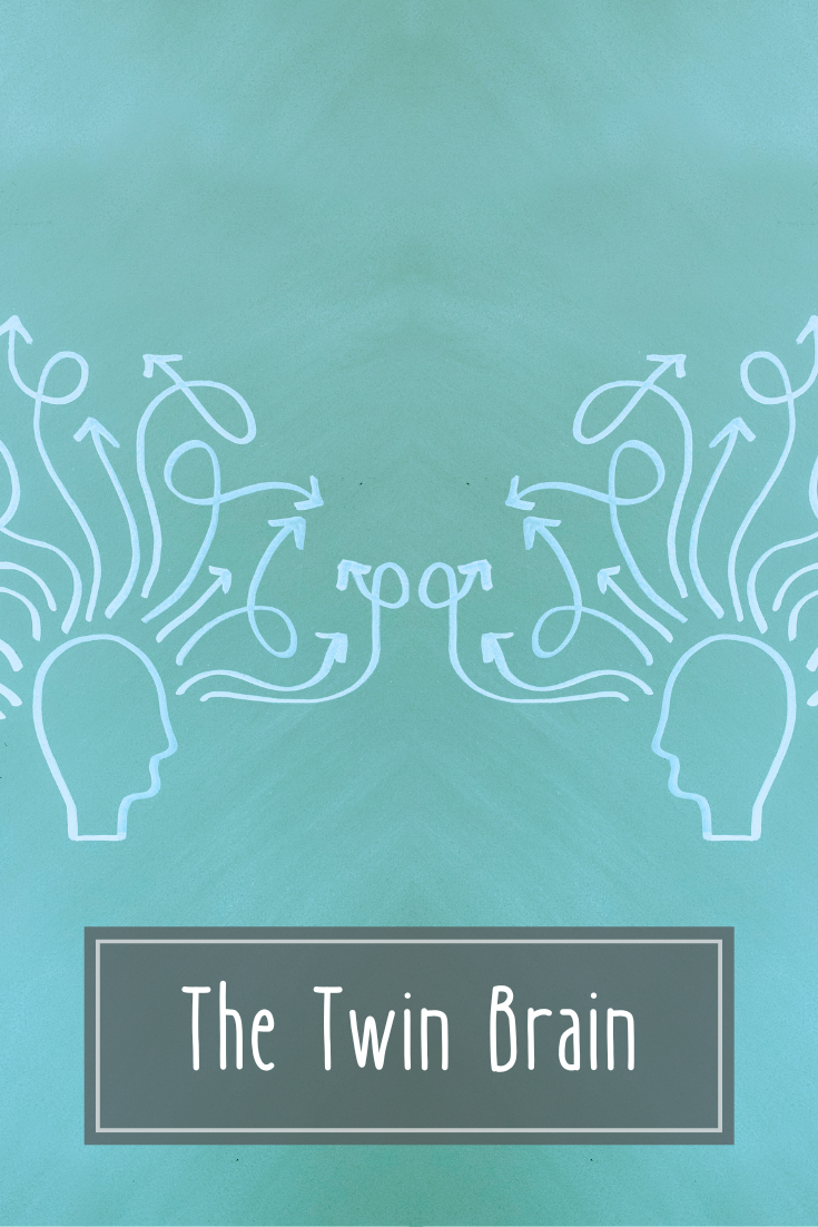 The Twin Brain – Child(ish) Advice